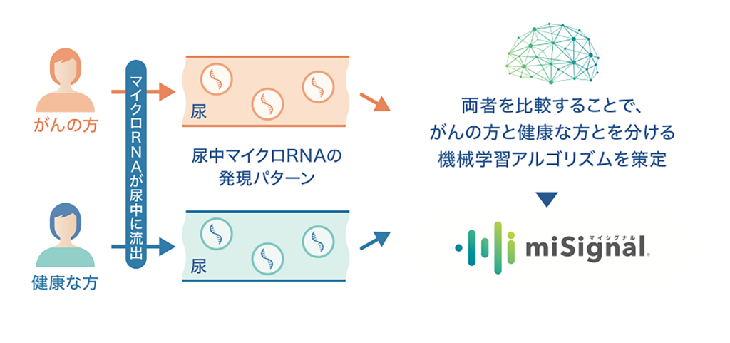 miSignal（マイシグナル）検査 | つねみ医院